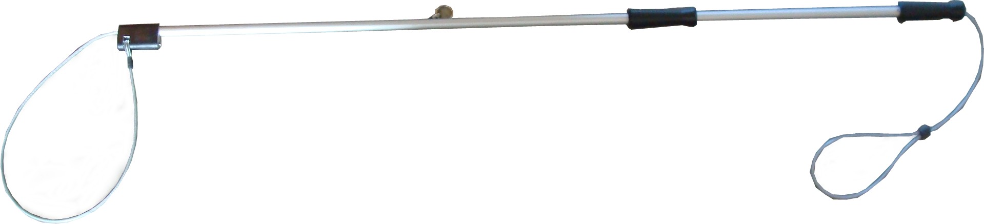 Lasso de capture de chiens, capture chien, perche lasso