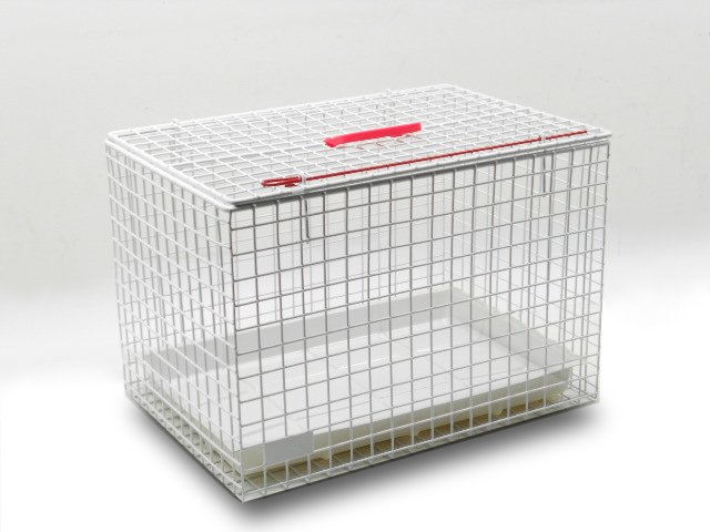 Cage de transport de chats | TELINJECT - matériel de capture d'animaux ...